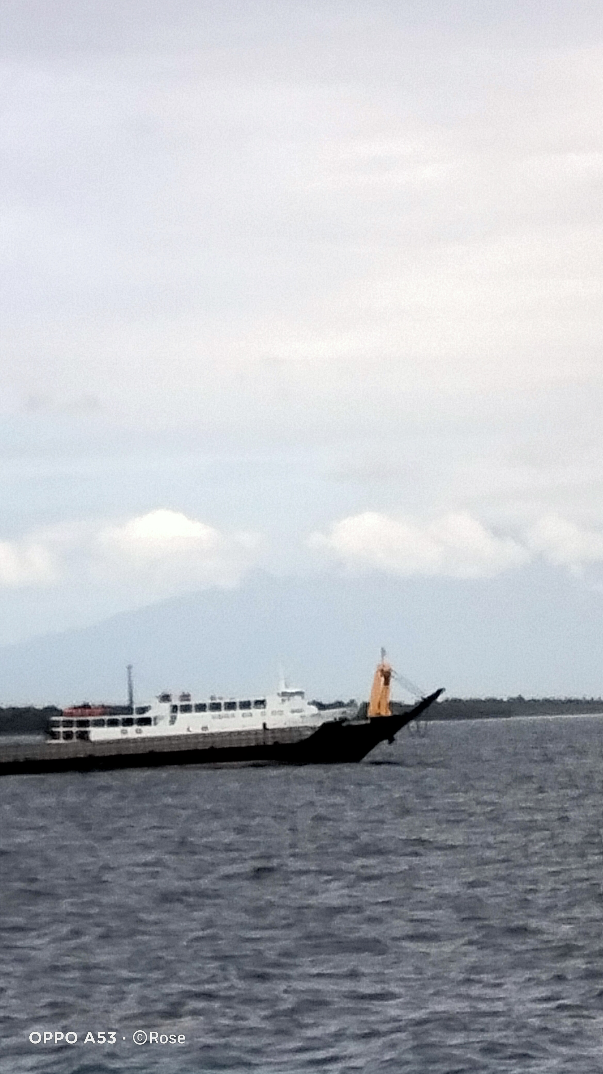 My Awkward Sea/Land Trip Guide from Siquijor to Cebu South, Terminal ...