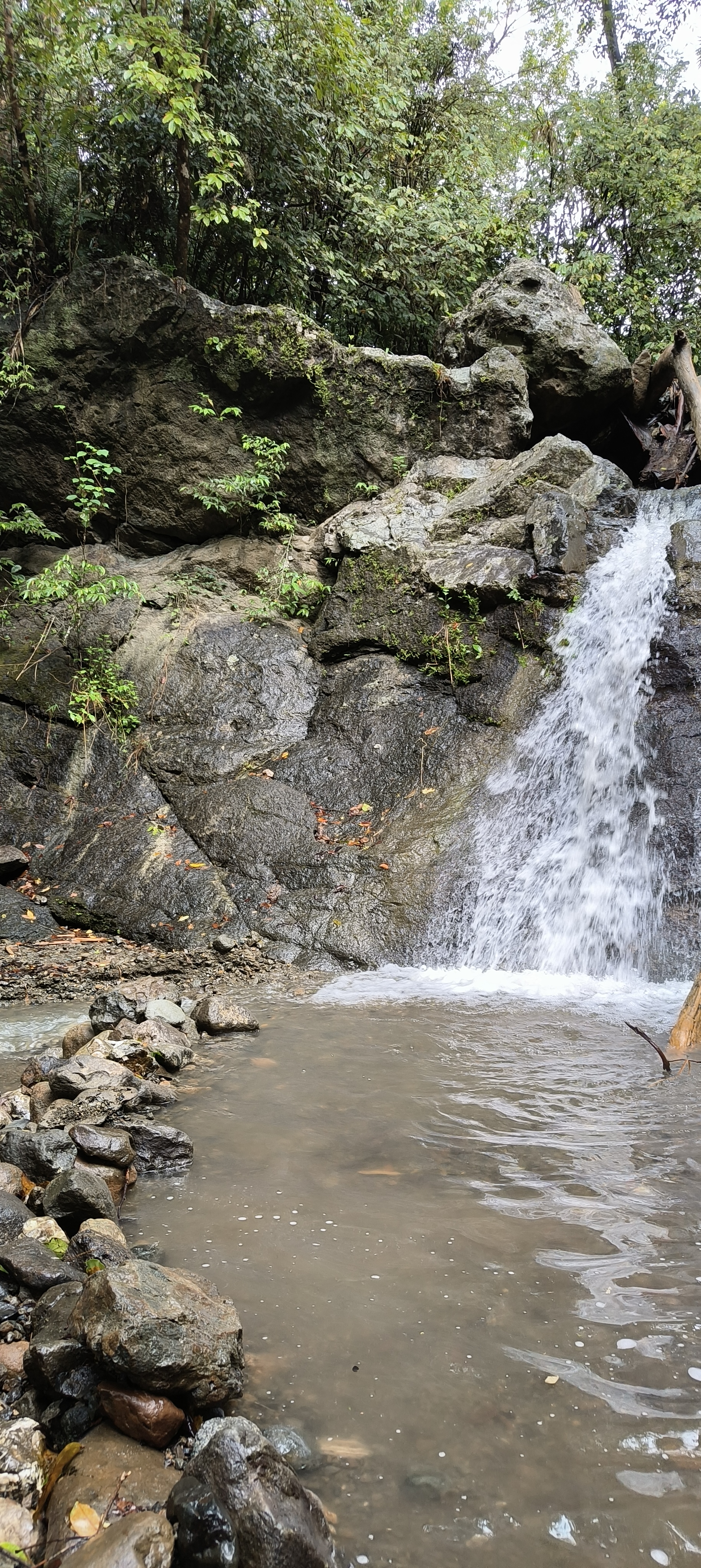Spartan Trail, Cebu + Saag Trail + Babag Trail + RCPI, Cebu, will make ...