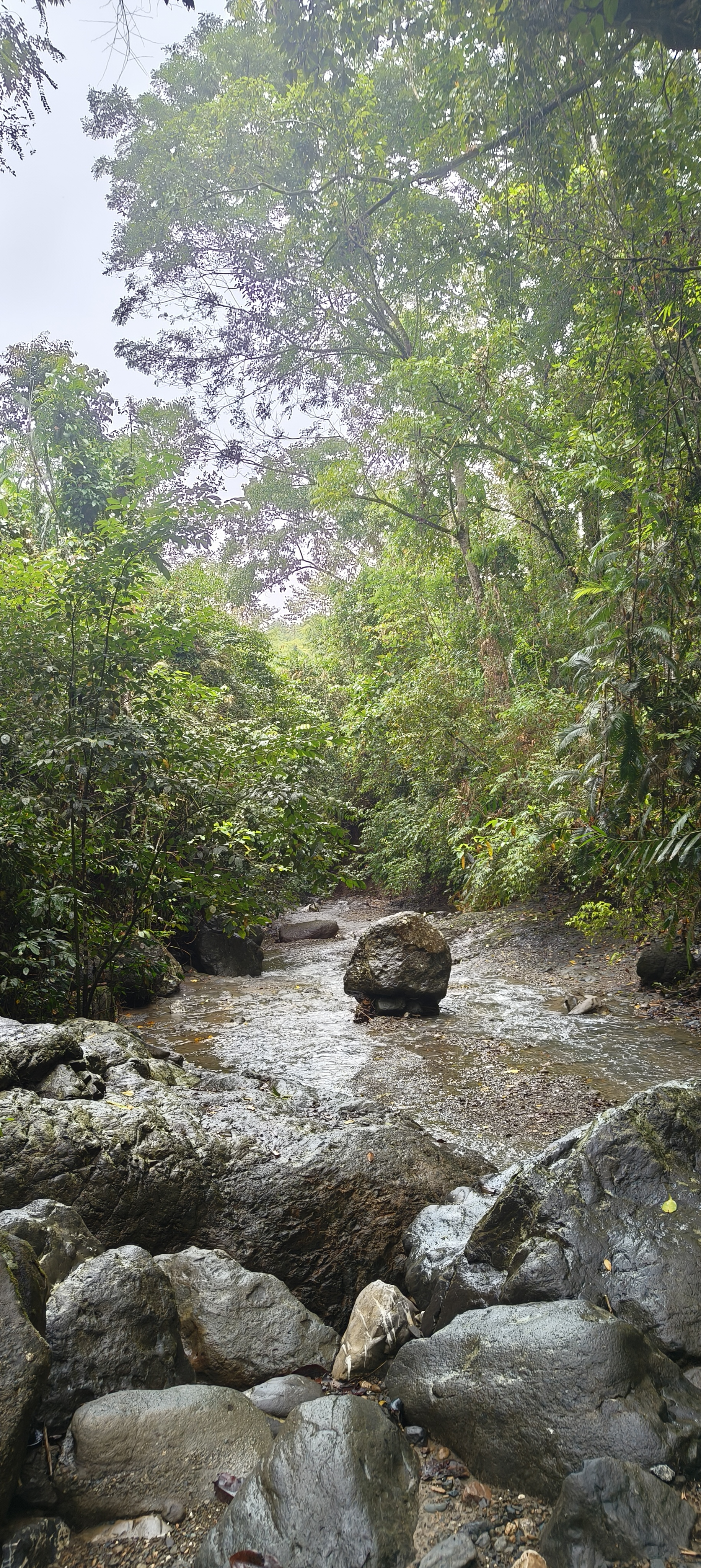 Spartan Trail, Cebu + Saag Trail + Babag Trail + RCPI, Cebu, will make ...