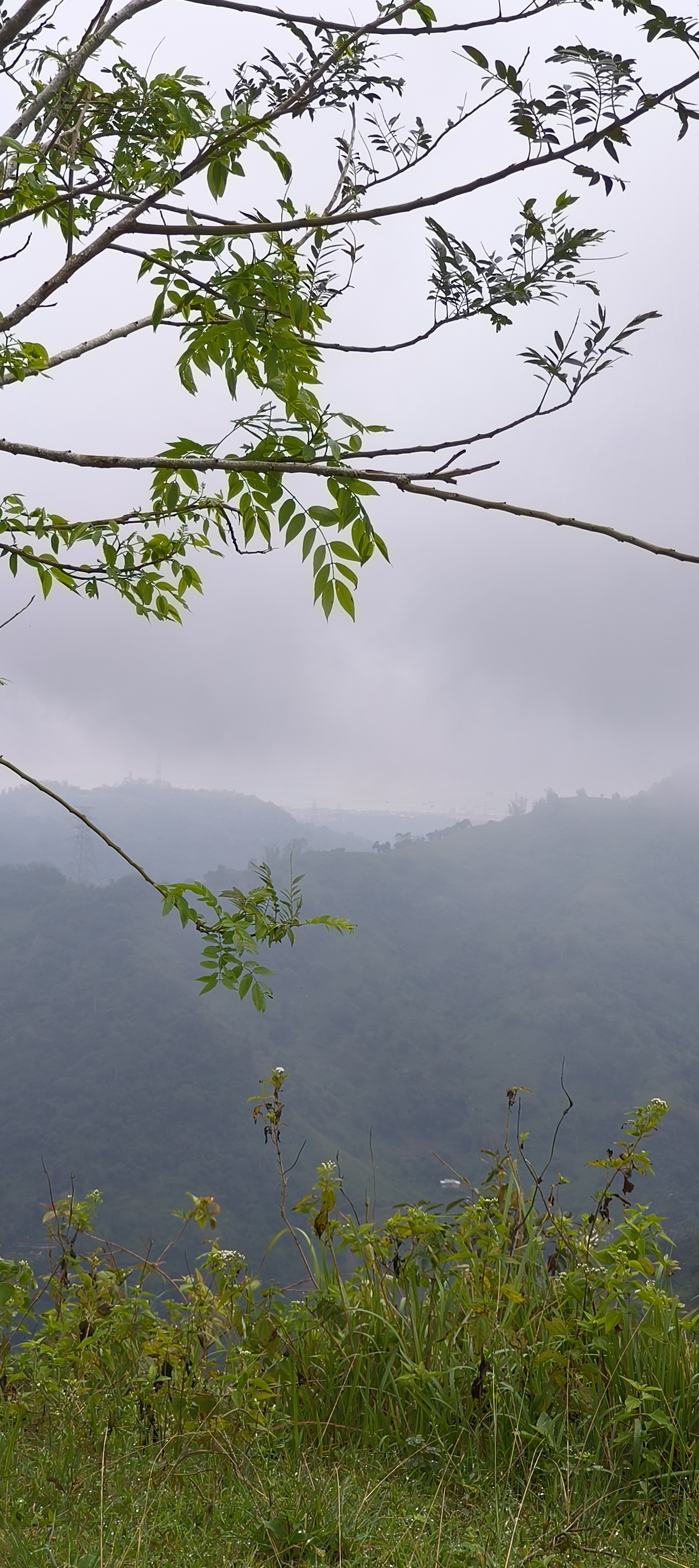 Spartan Trail, Cebu + Saag Trail + Babag Trail + RCPI, Cebu, will make ...